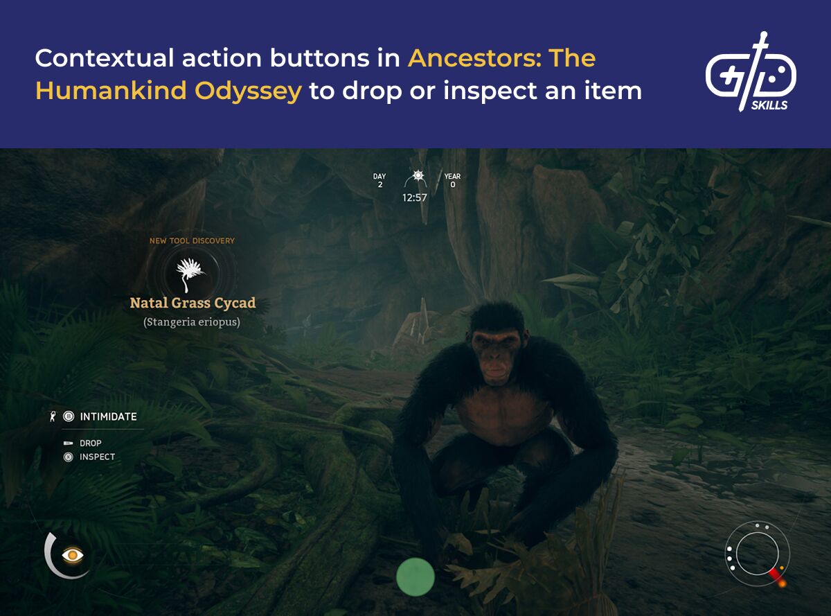 Survival Game Design (Principles, Examples, Template)
